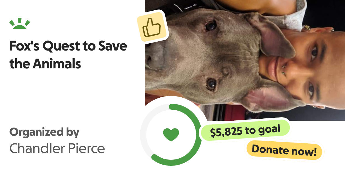 Fundraiser by Chandler Pierce : Fox's Quest to Save the Animals