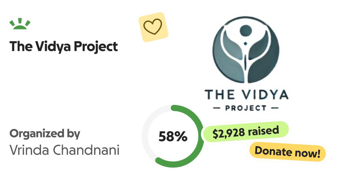 Fundraiser by Vrinda Chandnani : The Vidya Project