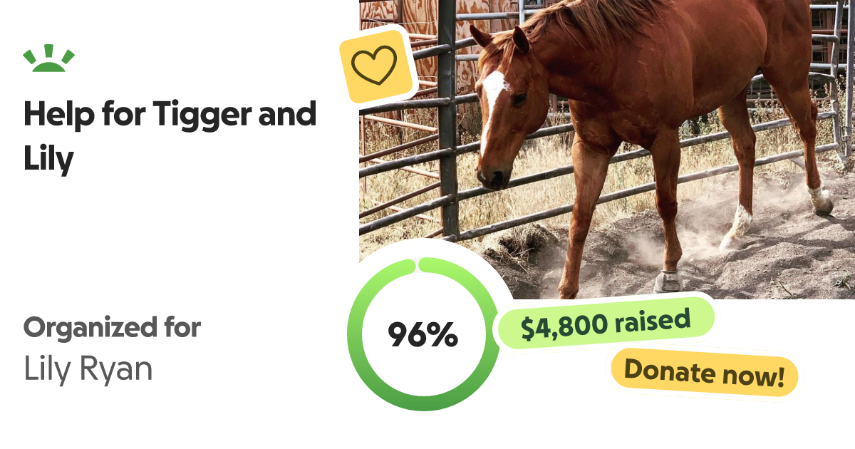 Fundraiser for Lily Ryan by Alex Naeve : Help for Tigger and Lily
