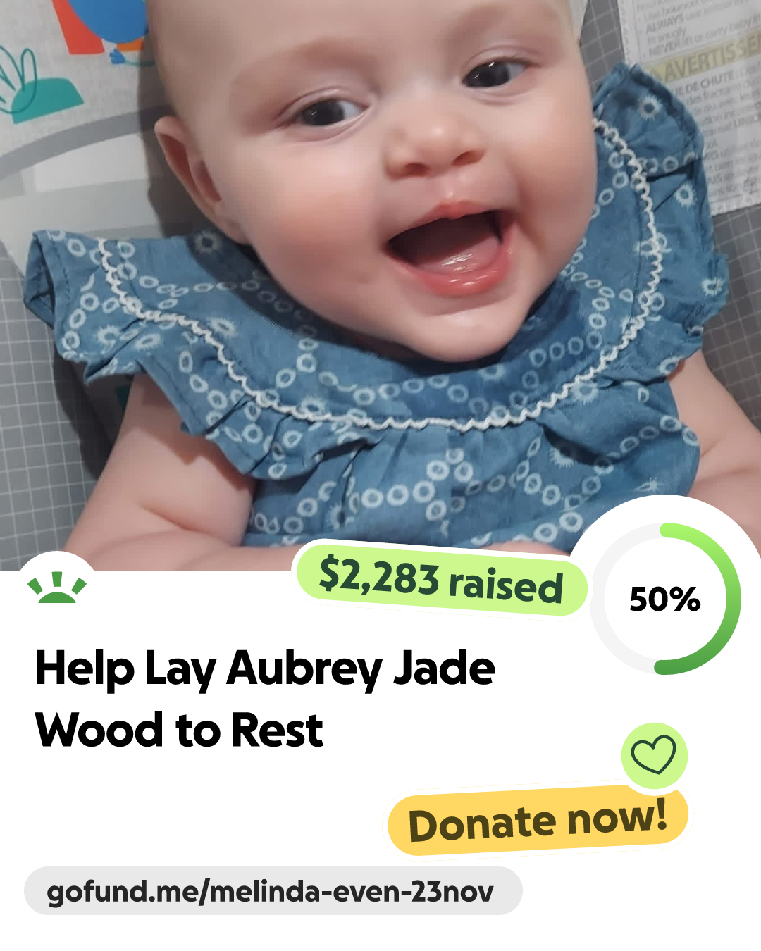 Fundraiser by Melinda Winchester : Help Lay Aubrey Jade Wood to Rest