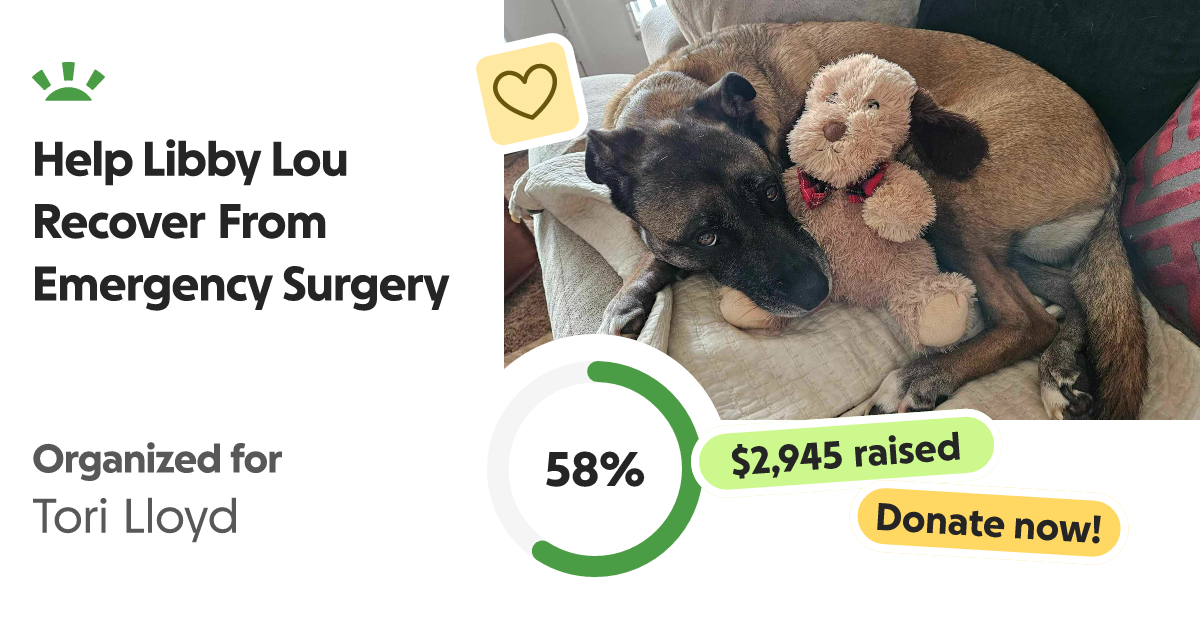 Fundraiser by Brenna Rae : Help Libby Lou Recover From Emergency Surgery