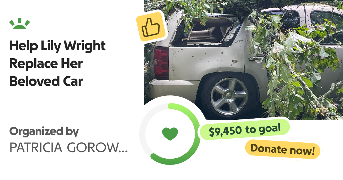 Fundraiser by PATRICIA GOROWAY : Help Lily Wright Replace Her Beloved Car