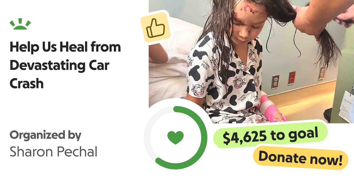 Fundraiser by Sharon Pechal : Help Us Heal from Devastating Car Crash Fundraiser by Sharon Pechal : Help Us Heal from Devastating Car Crash