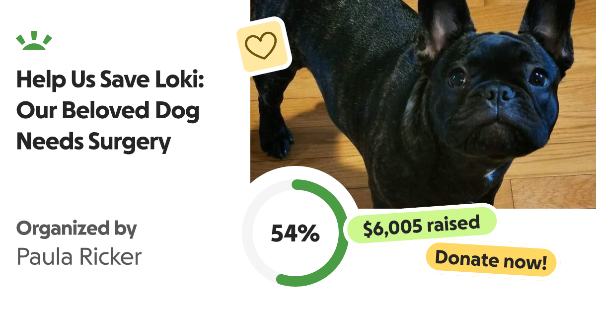 Fundraiser by Paula Ricker : Help Us Save Loki: Our Beloved Dog Needs ...