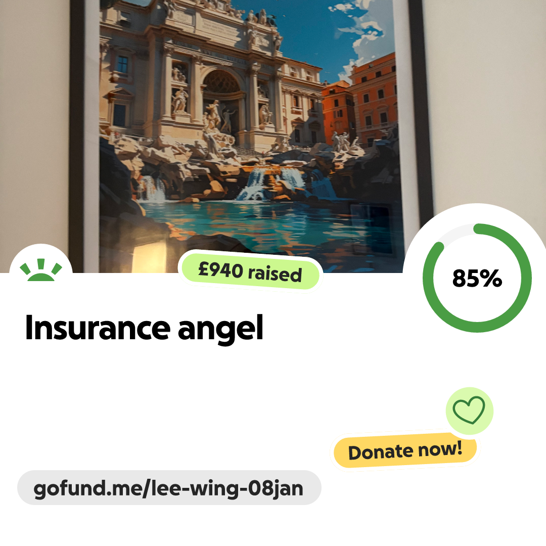 Fundraiser by Lee Challice : Insurance angel