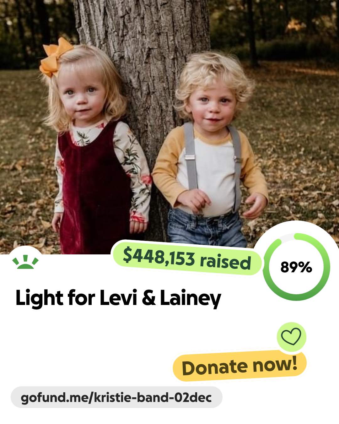 Fundraiser for Meagan Chisholm by Kristie Pritchard : Light for Levi ...