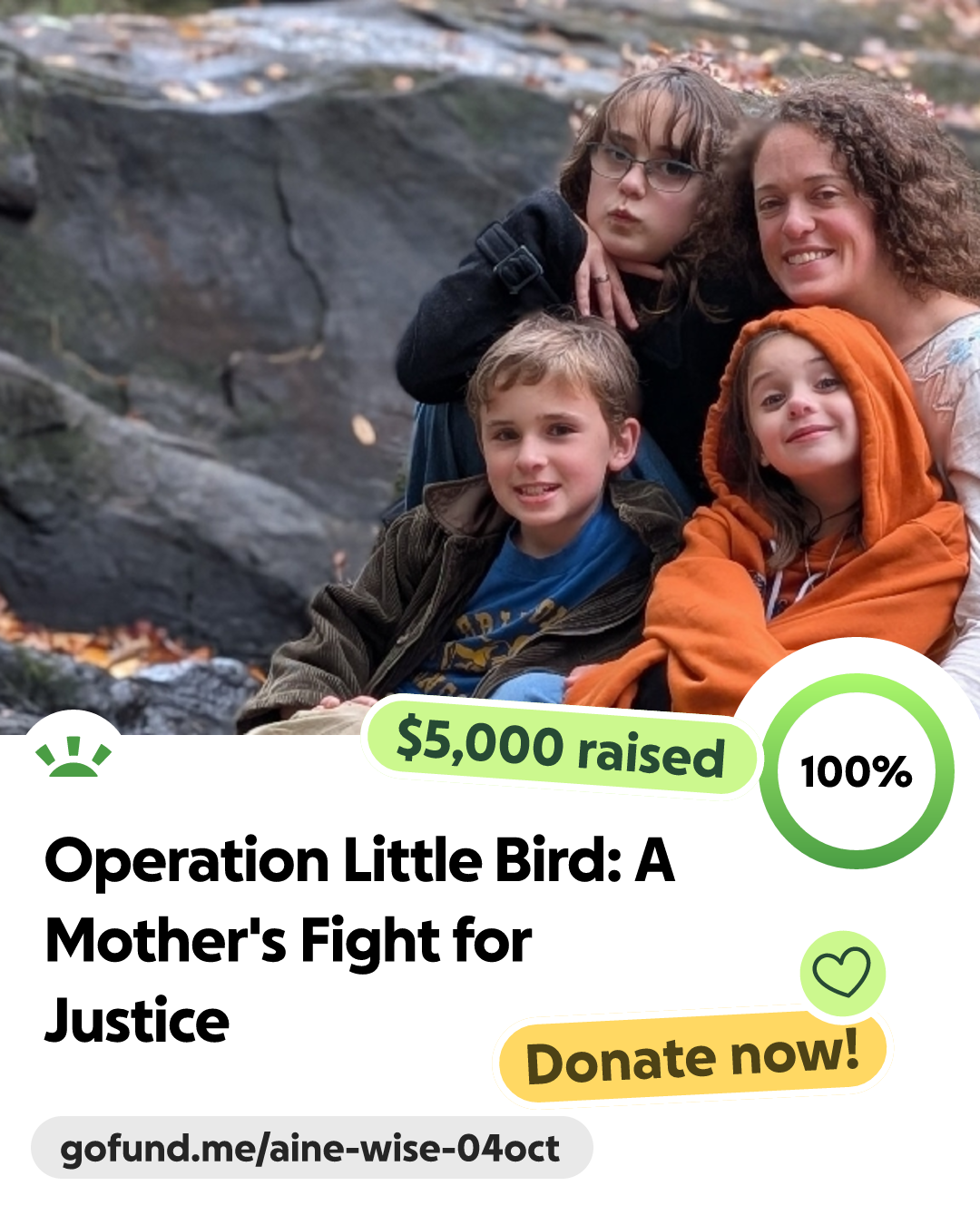 Fundraiser by Aine Kestrel : Operation Little Bird: A Mother's Fight ...