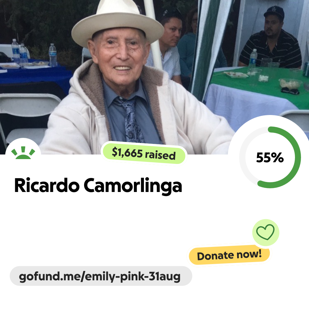 Fundraiser by Emily Camorlinga : Ricardo Camorlinga