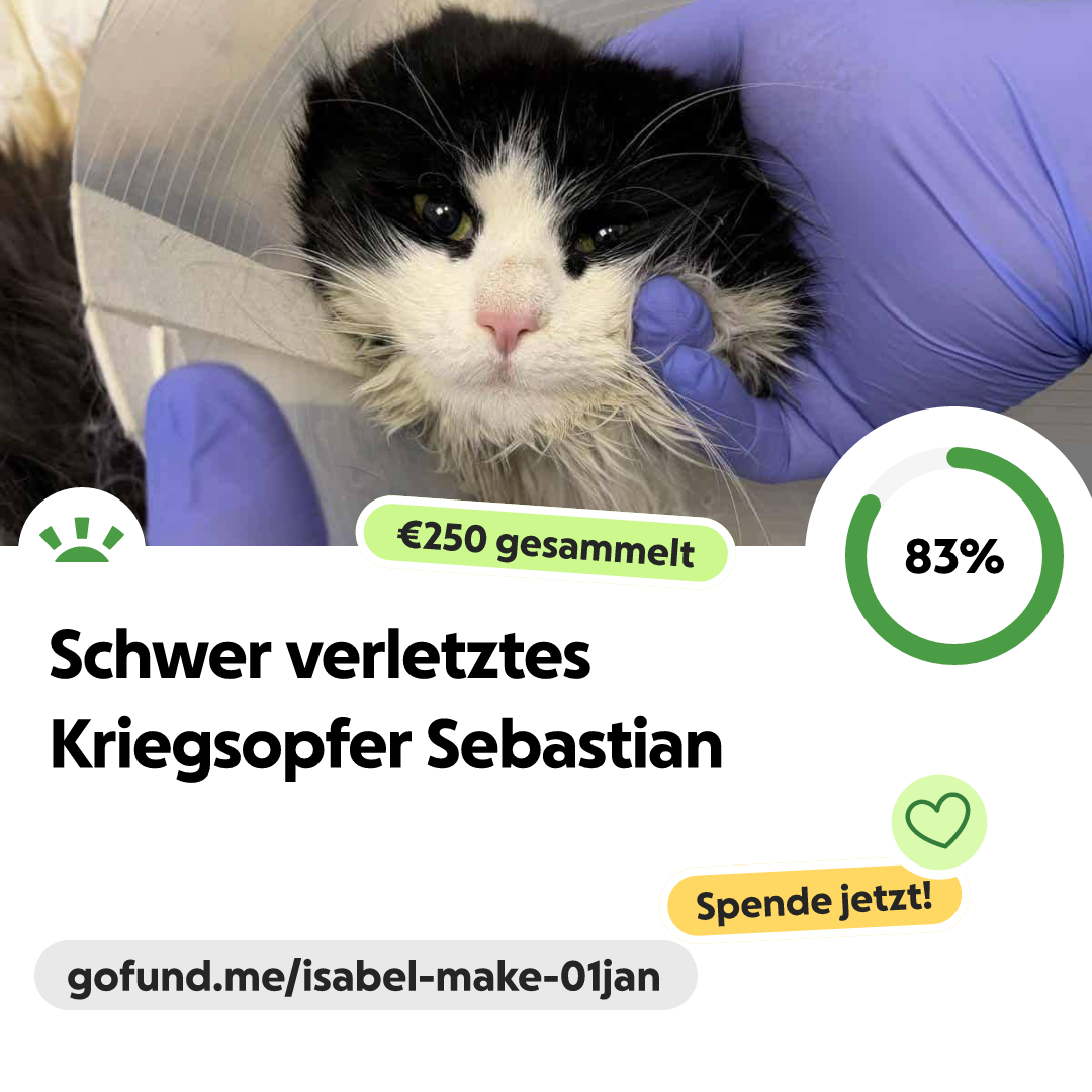 Fundraiser by Isabel Papenfuß : Schwer verletztes Kriegsopfer Sebastian