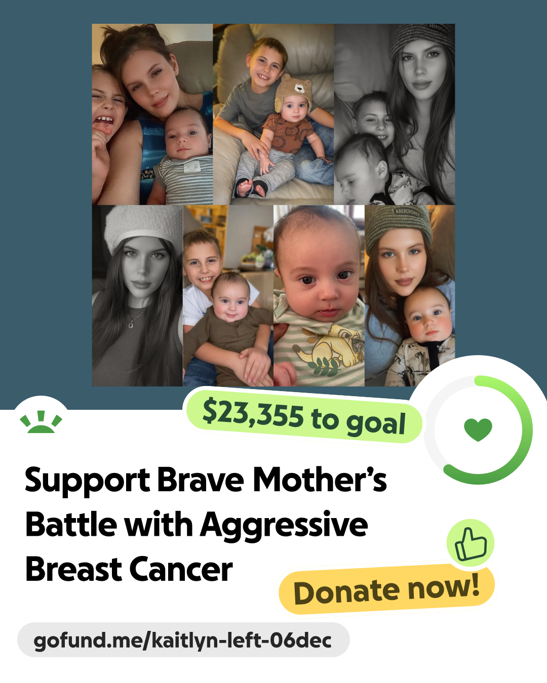 Fundraiser by Kaitlyn Lukas : Support Brave Mother’s Battle with ...