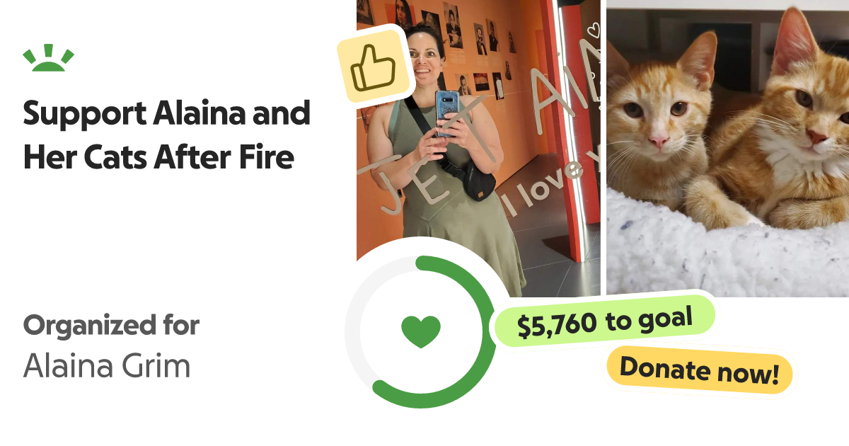 Fundraiser for Alaina Grim by Cathy W : Support Alaina and Her Cats After Fire