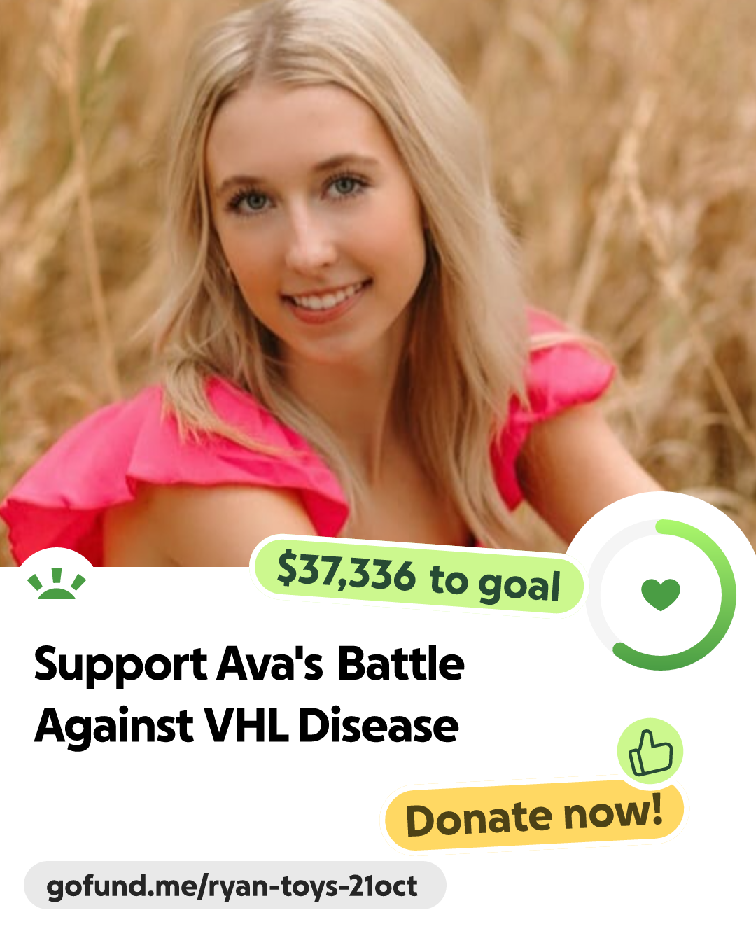 Fundraiser for Ashley Ware by Ryan Bradshaw : Support Ava's Battle ...