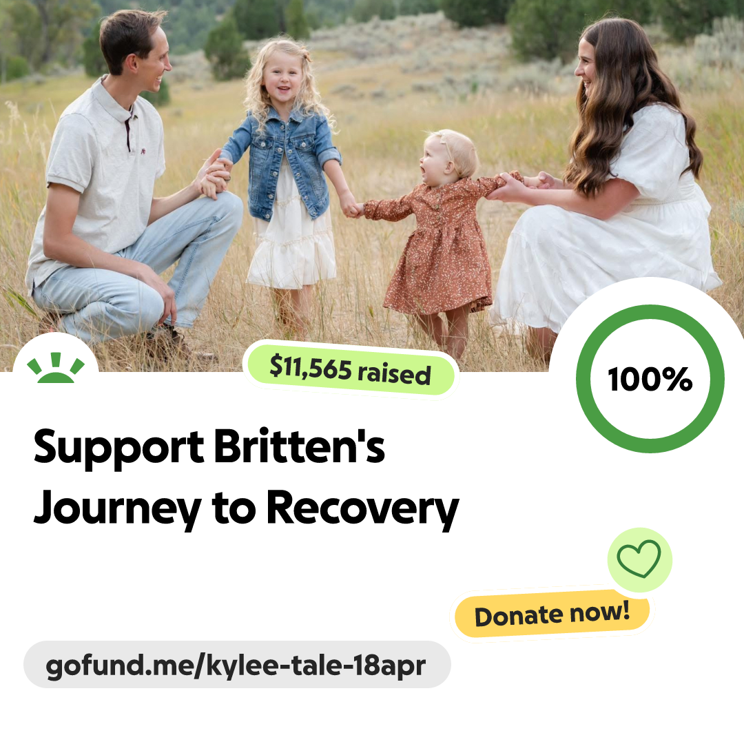 Fundraiser for Alisa Schenk by Kylee Maughan : Support Britten's Journey to Recovery
