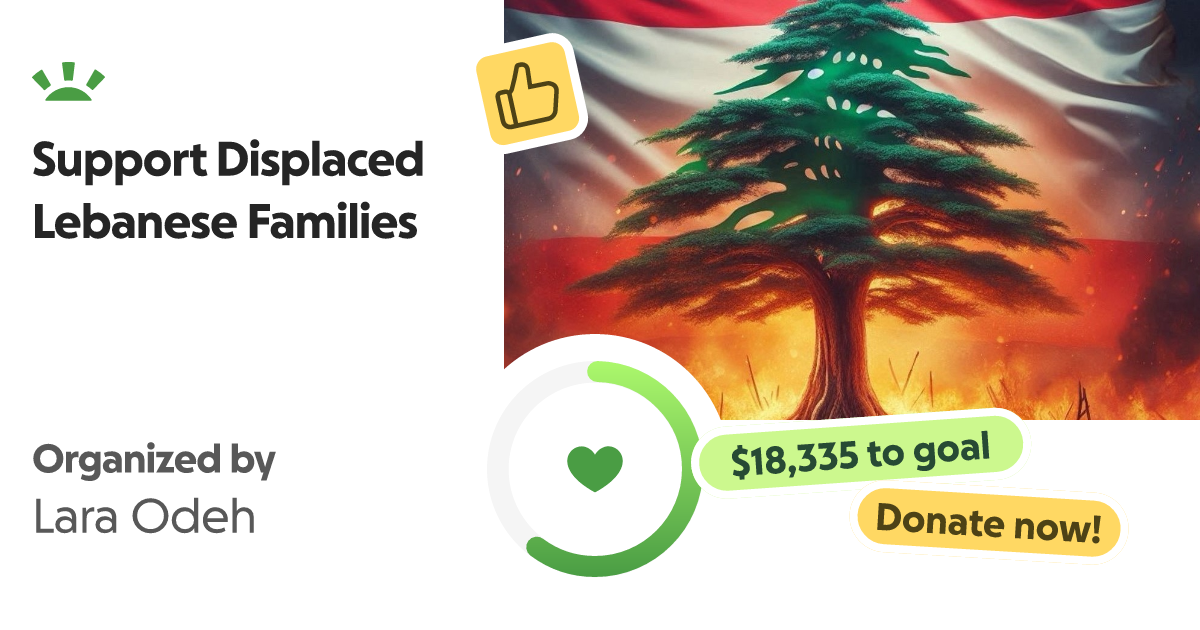 Fundraiser by Lara Odeh : Support Displaced Lebanese Families