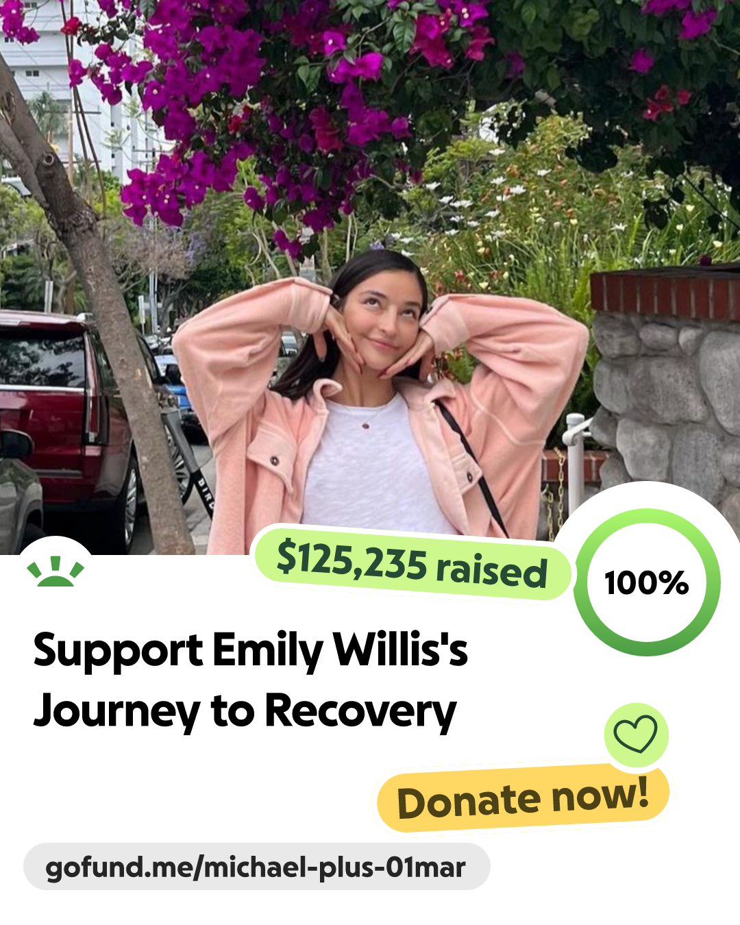 Fundraiser by Michael Willis : Support Emily Willis's Journey to Recovery