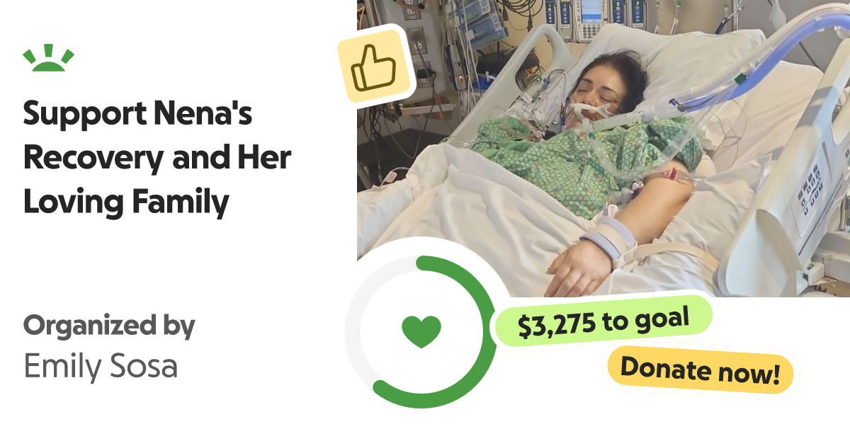 Fundraiser by Emily Sosa : Support Nena's Recovery and Her Loving Family