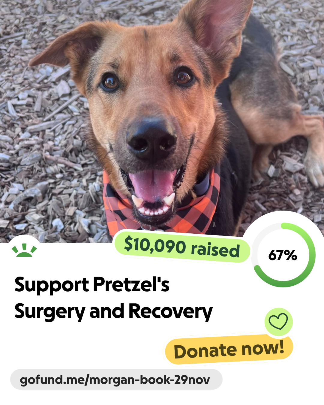 Fundraiser for Susan Abreu by Morgan Esposito : Support Pretzel's ...