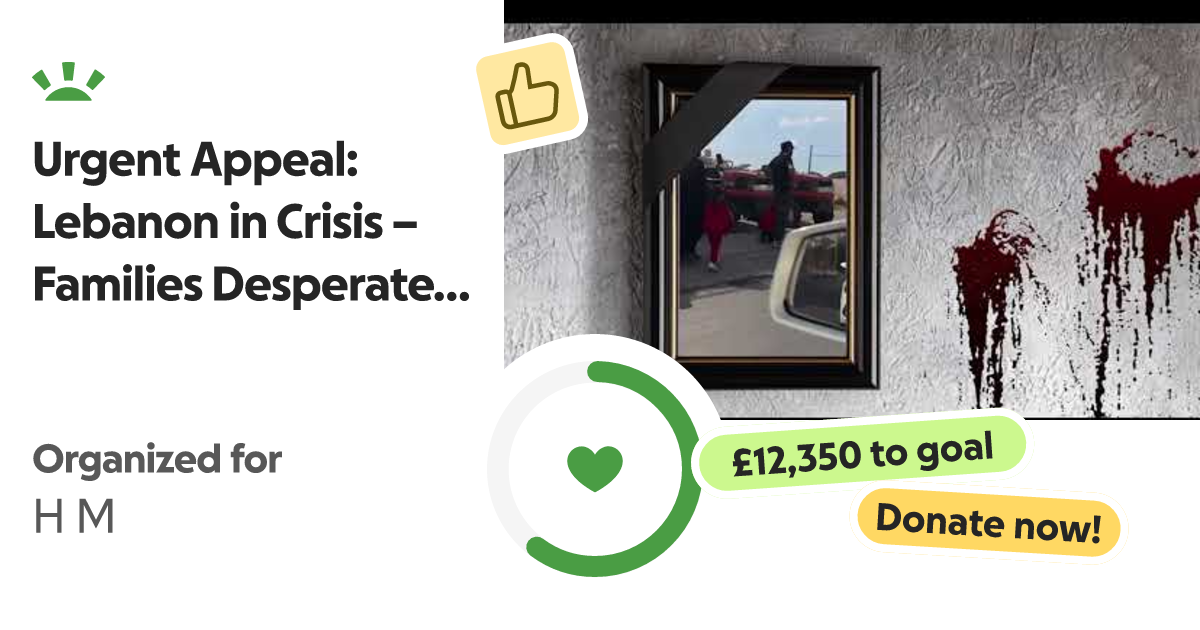 Fundraiser for H M by NADIA KHAYAT : Urgent Appeal: Lebanon in Crisis ...